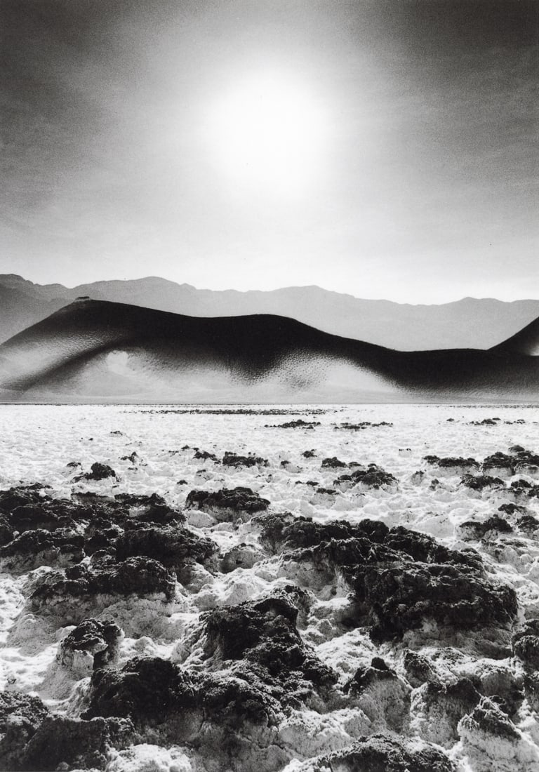 Dale O'dell - Womanscape Auction