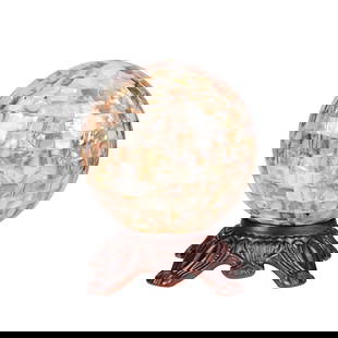 Giant Clam Shell Auction