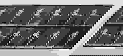 Eadweard Muybridge - Dance Plate A.l. 369 Auction