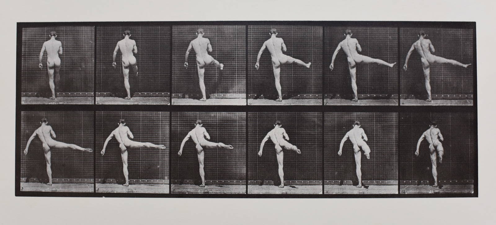 Eadweard Muybridge - Dance Plate A.l. 369 Auction