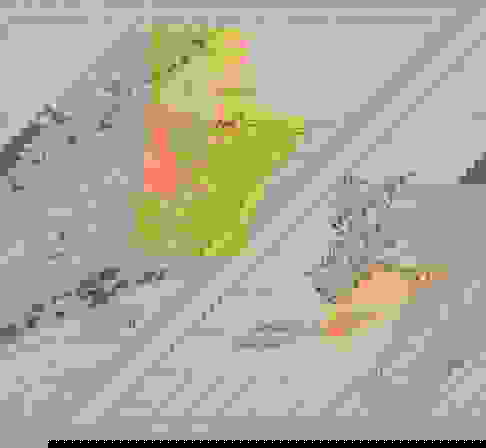 1945 Map Of Texas Prairie Chicken Range -- Prairie Chickens Auction