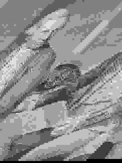 1790 Capt. James Cook 18th Century Engraving By Holloway Del Et Sulp ...