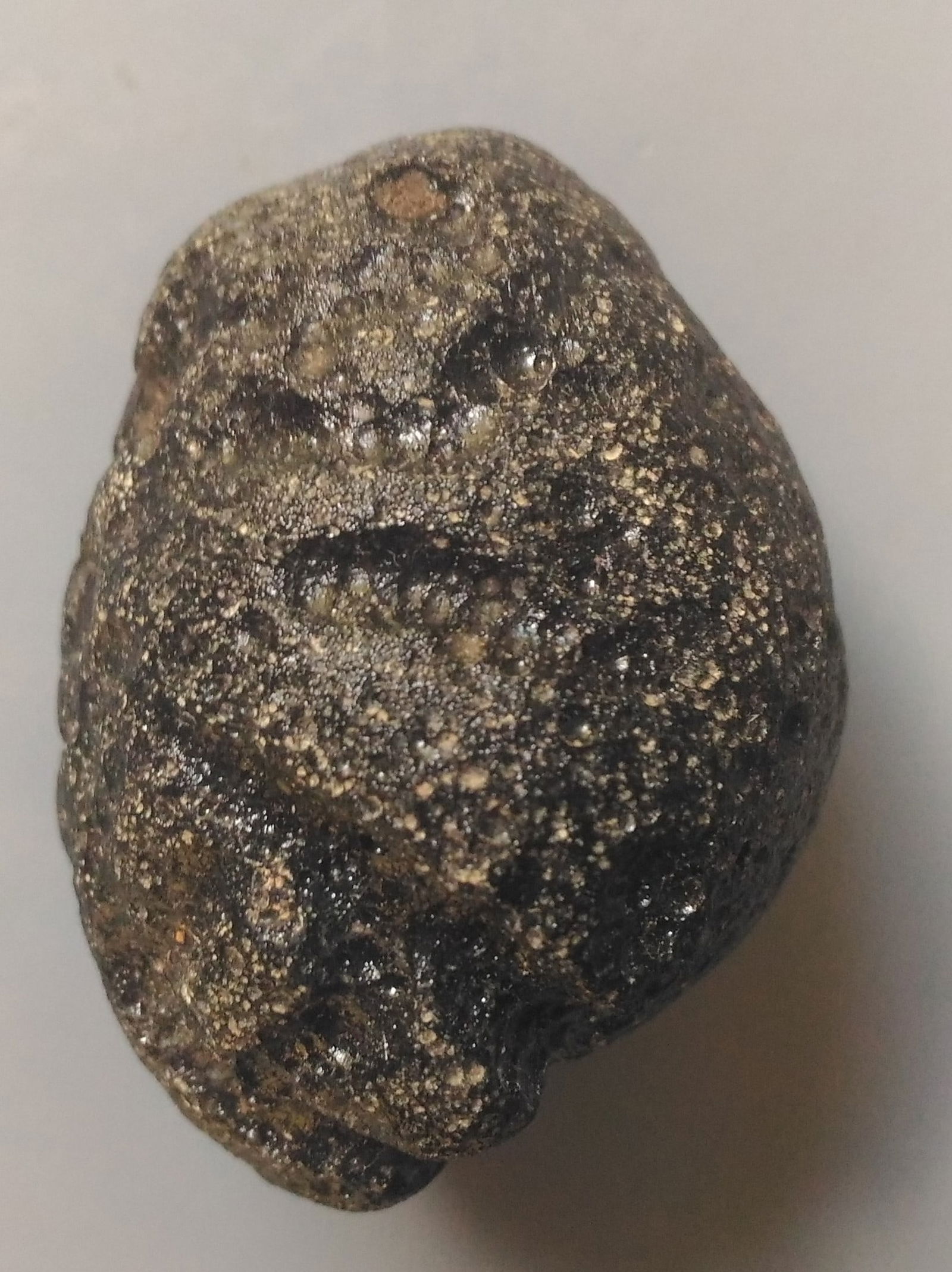 Big Philippinite Tektite - 41 Gram Auction