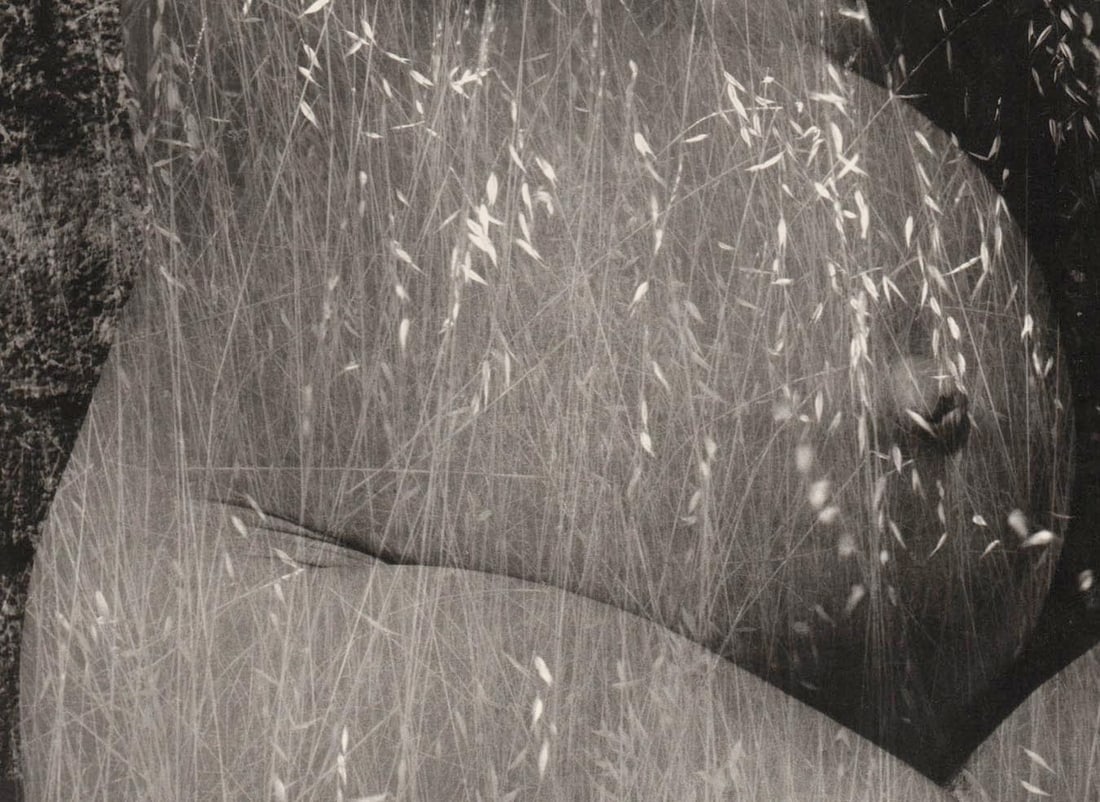 Ruth Bernhard - Harvest, 1953 Auction