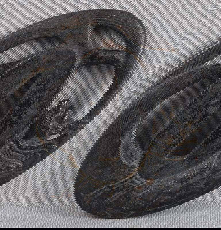 19c Japanese Sword Tsuba Minogame / Snake-tortouise Auction