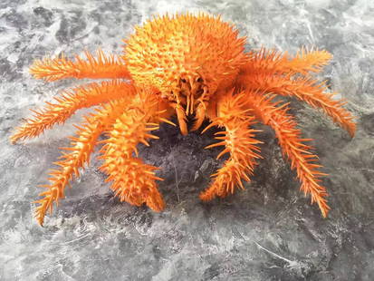 Organs Prices - 760 Auction Price Results