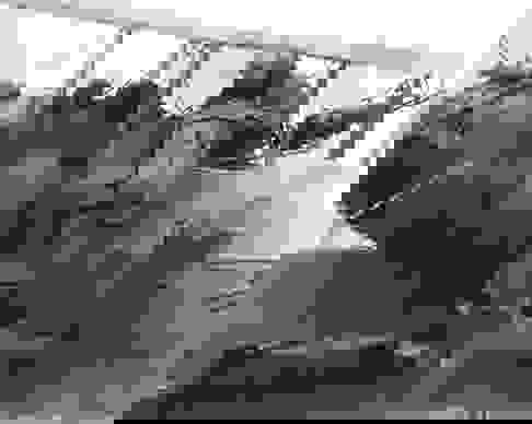 Wwi, Major Reynolds-91st Aero Squadron Auction