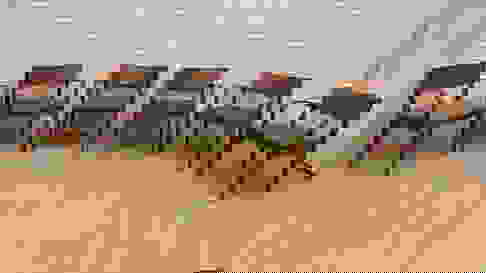 Contemporary Jonathan Crinion For Knoll Wood Side Dining Armchairs ...