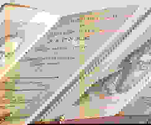 1763 Roman Poetry Satyrae Juvenal & Persius Flaccus Vellum Antique ...