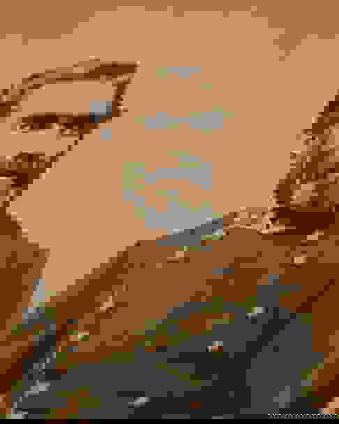 Civil War Gen. Braxton Bragg Auction