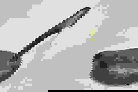 Antique Decoy Root Head Coot , Folk Art Woodcarving Auction