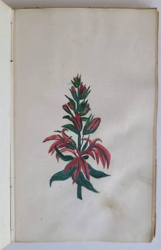 1840s Antique Autograph Album Illustrated Memory Friendship