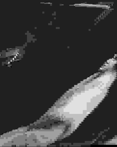 E.j. Bellocq - Storyville Portraits (with Fur) Auction