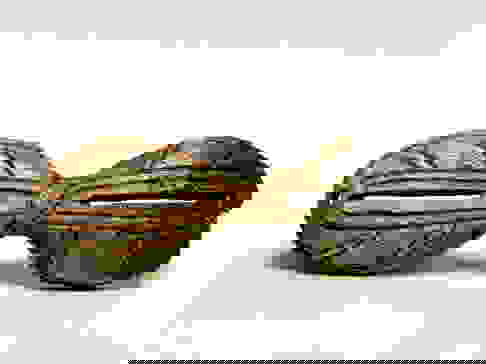 Eskimo Snow Goggles - Bone - Inuit - Alaska Auction