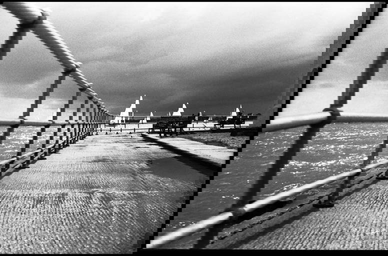 Exclusive Paul Cooklin Photography Auction on Jan 07, 2025 by Jasper52 ...