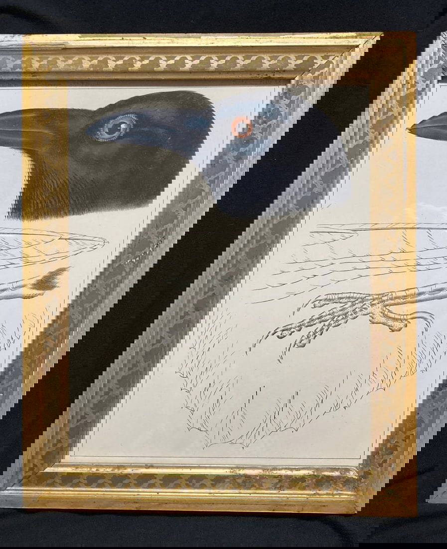 1857 Hand Colored Crow Engraving Auction