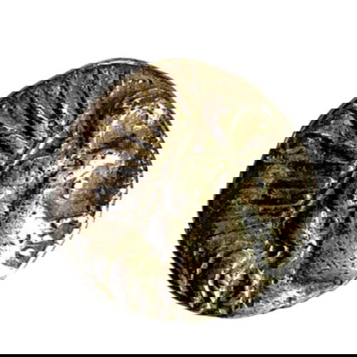 Ancient Greek Silver Drachma, Rhodes, 166–88 B.c.e., Helios / Rose ...