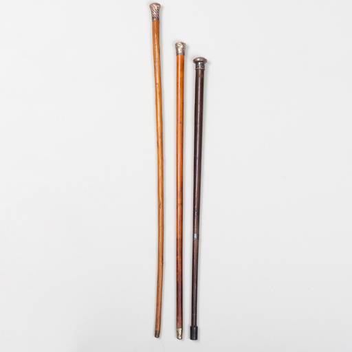 Three English Silver Mounted Walking Sticks