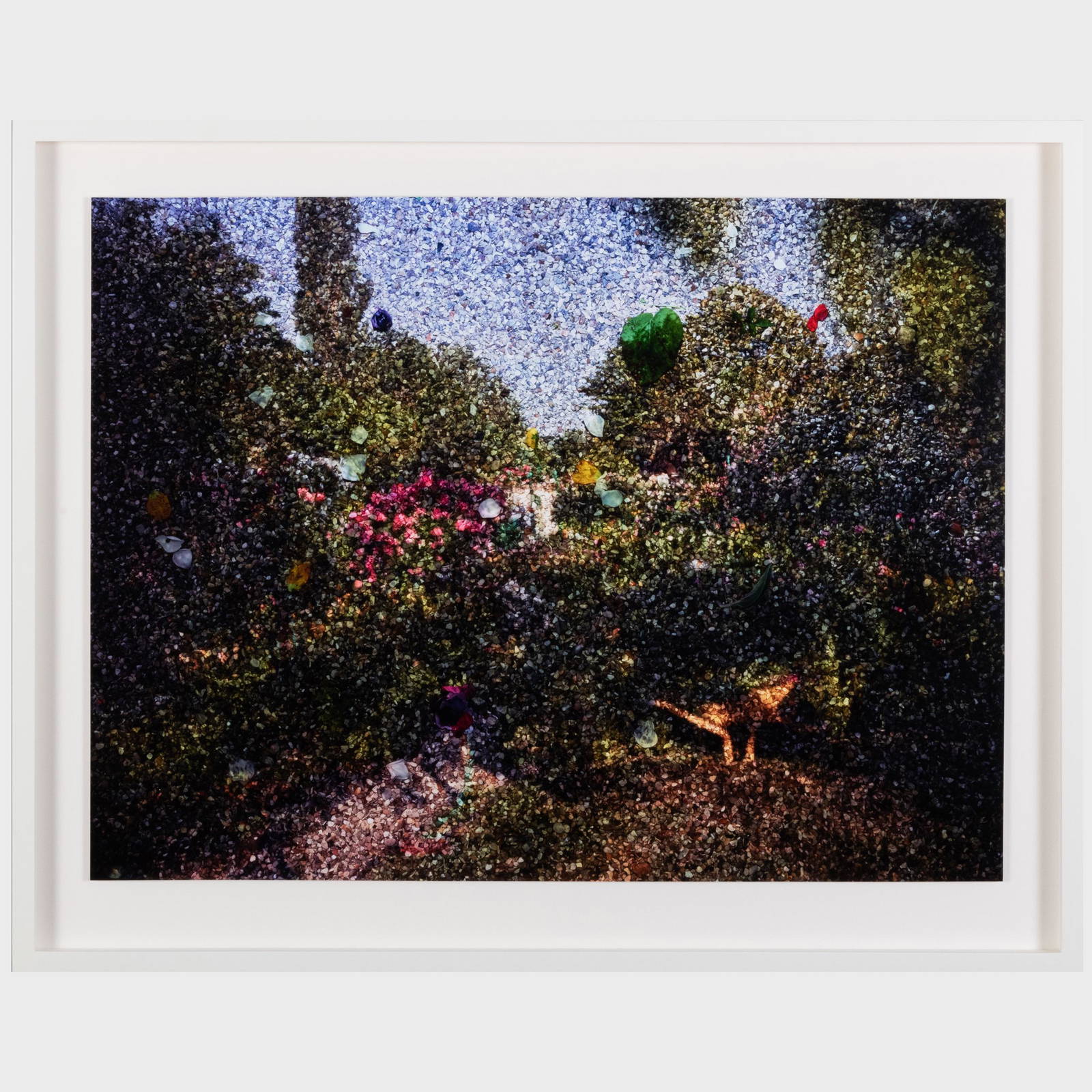 Abelardo Morell Prices - 287 Auction Price Results