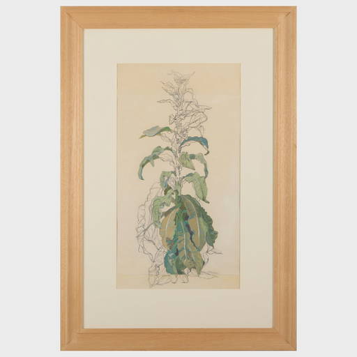 Charles Mahoney (1903 1968): Large Verbascum
