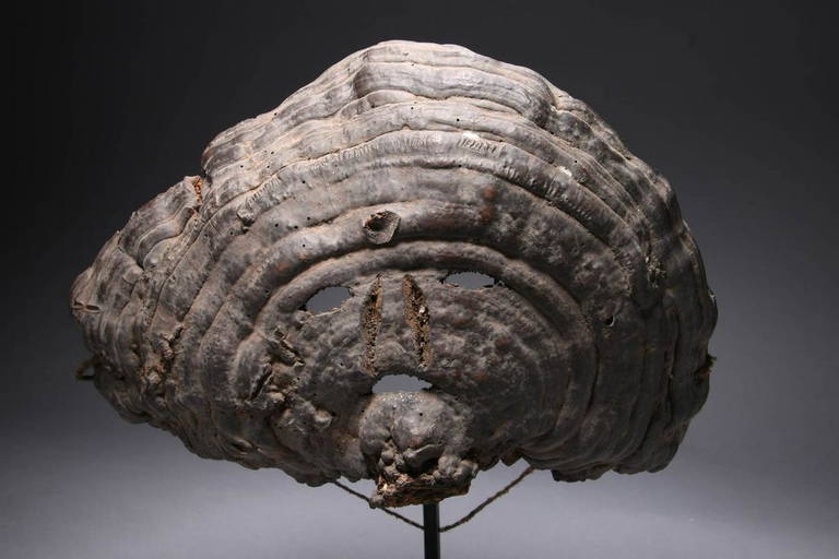 Nepal Shaman Fungus Mask