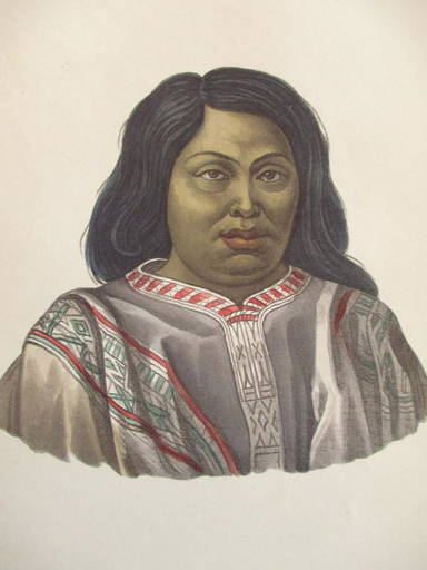 Araucanan Native Of Chilie 1855
