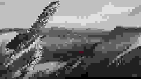 Chief Red Hawk Auction