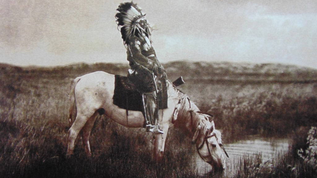 Chief Red Hawk Auction