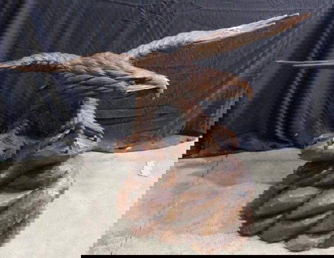 Impressive Carved Wooden Eagle Auction