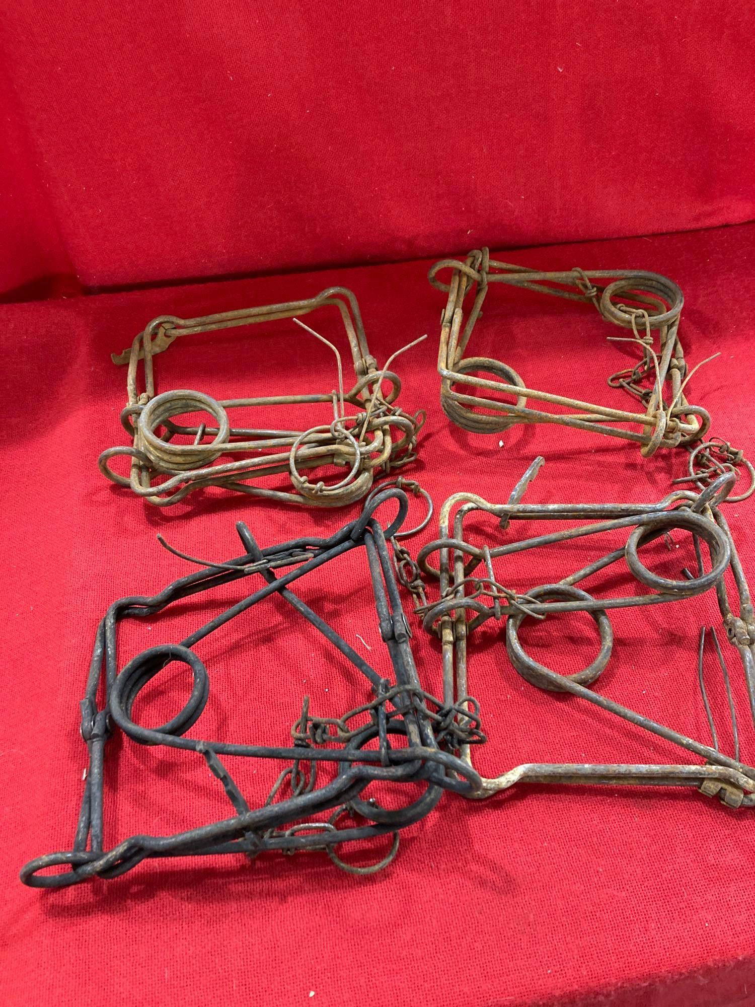 4 Critter Traps Auction