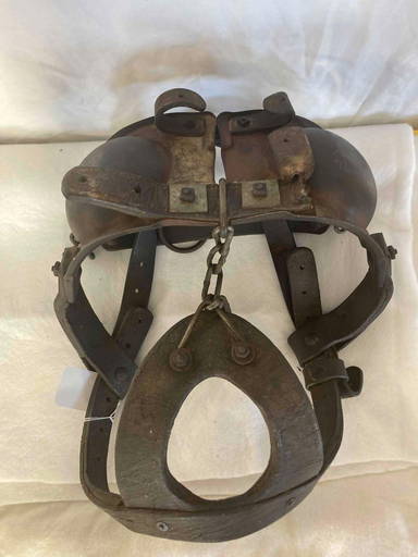 Leather Bull Blinder