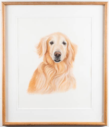 Jocelyn Sandor, Yellow Labrador Retriever, Crayon