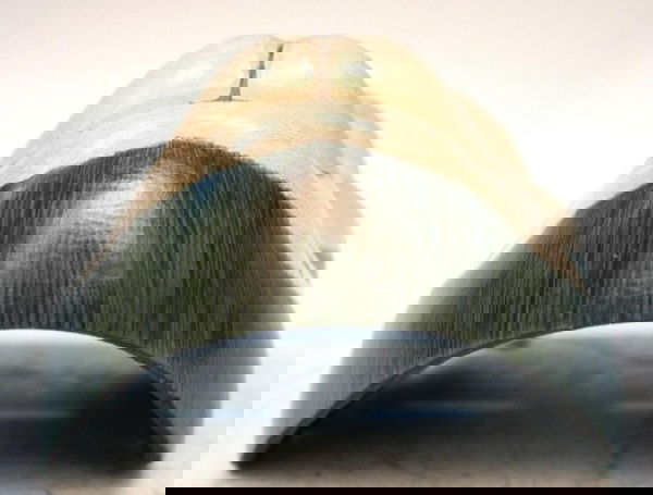 Japanese Monkey Noh Theatre Mask Saru Showa Period