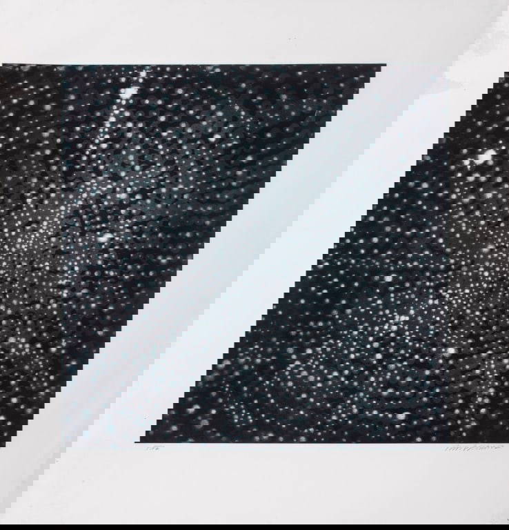 Ross Bleckner "pathways" Etching And Aquatint Auction