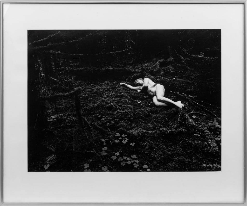 Anne Noggle "the Old Nymph" Gelatin Silver Print Auction