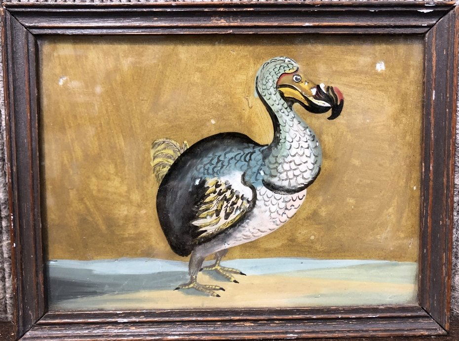 Reverse glass painting, Dodo bird