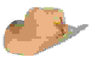 Roy Rogers' Personal Stetson Nudie's Cowboy Hat Rr