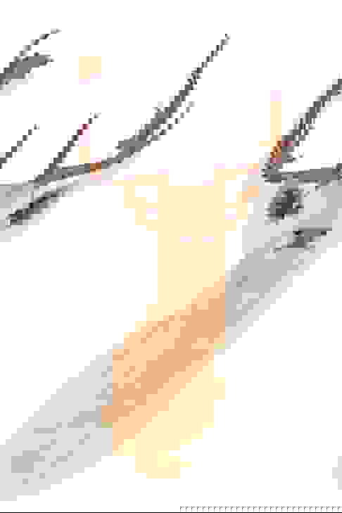 White Fallow Deer Taxidermy Shoulder Mount Auction