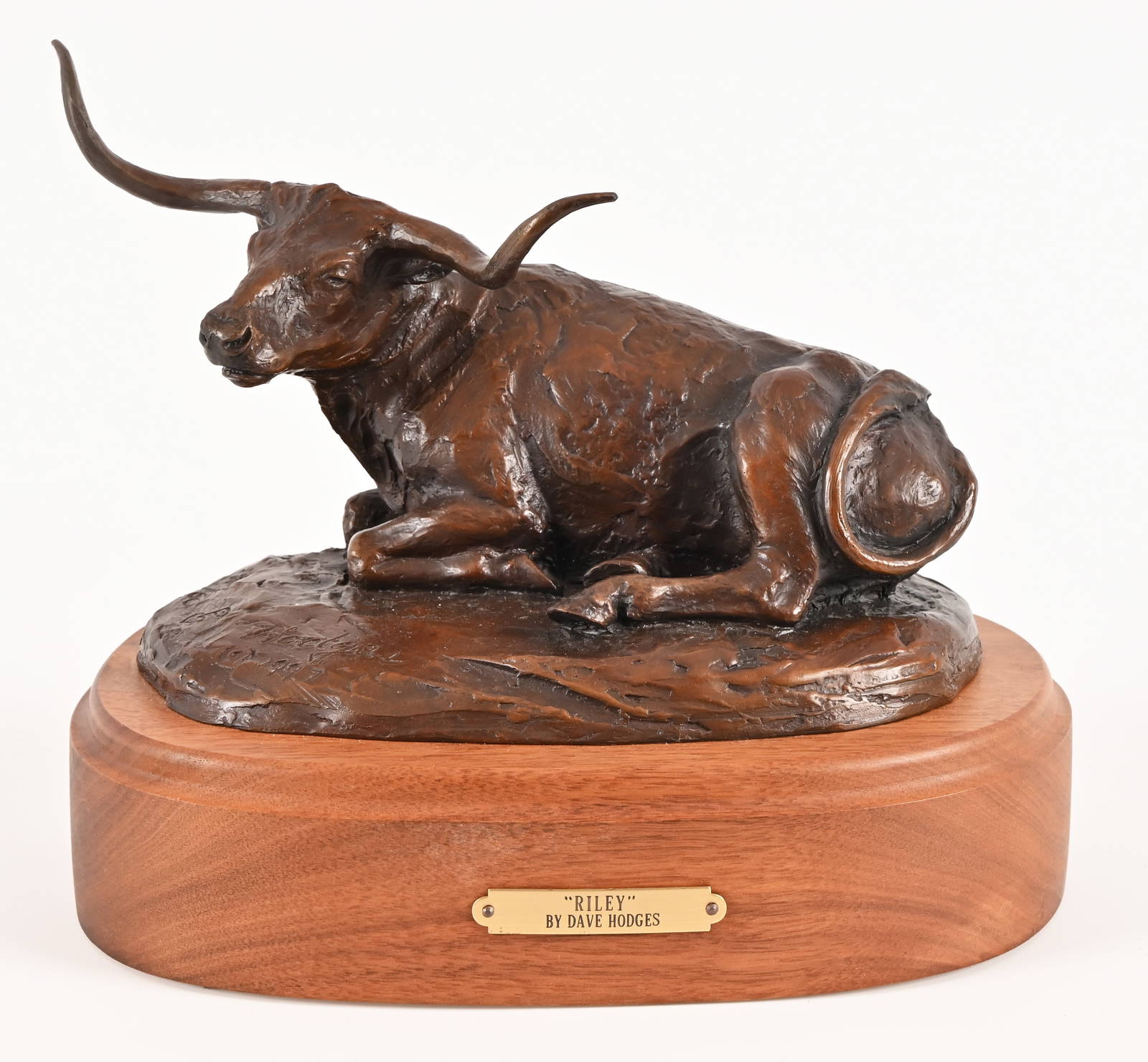 Texas Longhorn "riley" Bronze By Dave Hodges Auction