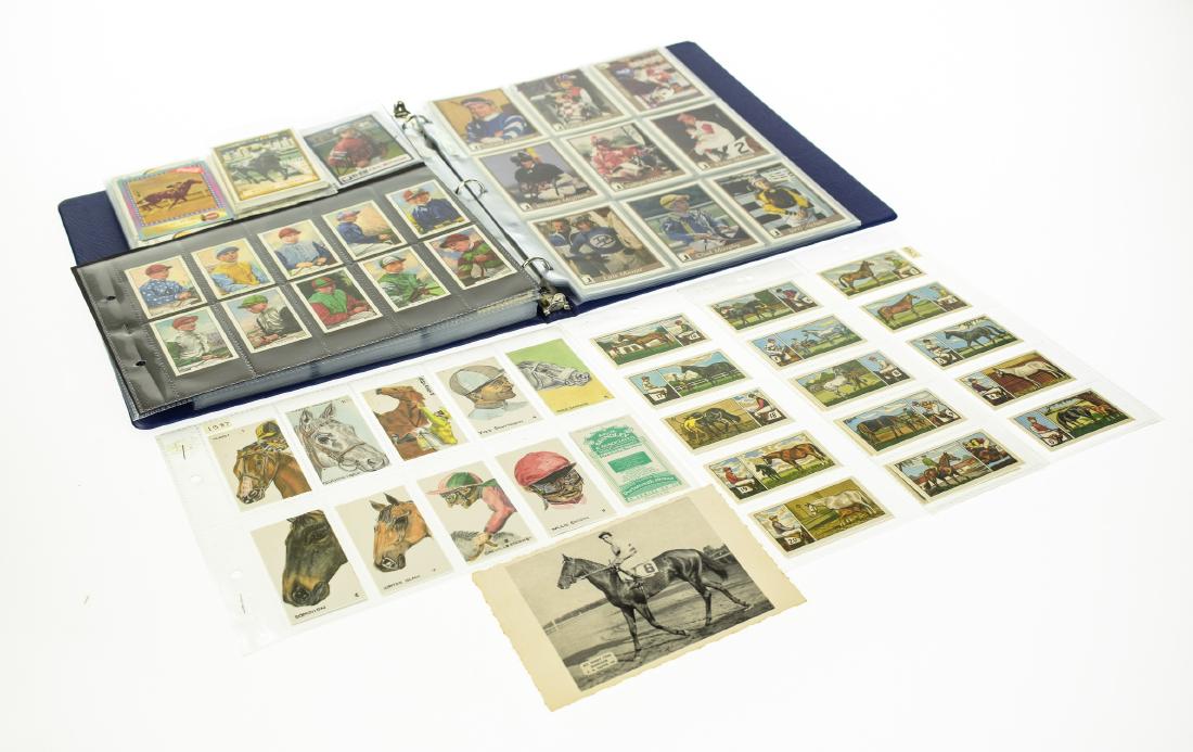 Collectible Horse Racing JOCKEY TRADING CARDS MANY OF