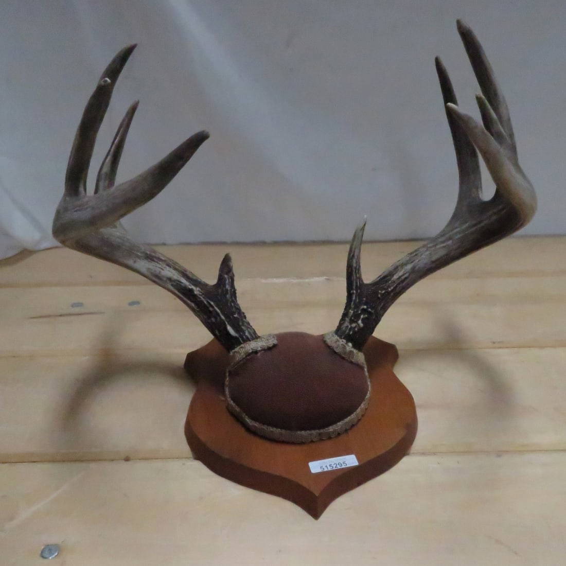 10 Point White Tail Deer Antler Plaque Mount Auction