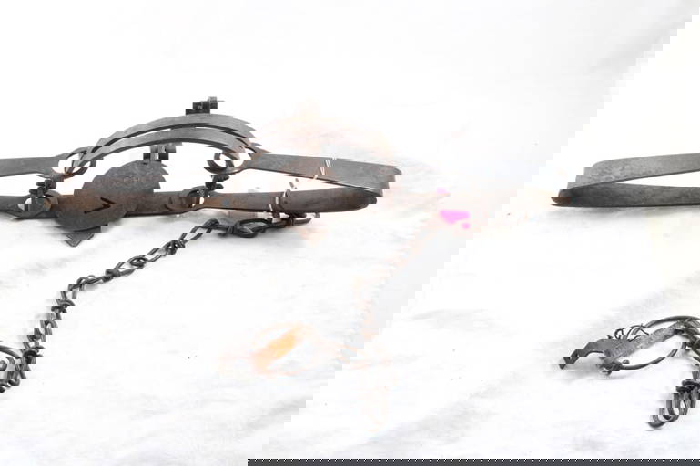 Victor Oneida #3 Double Long Spring Trap