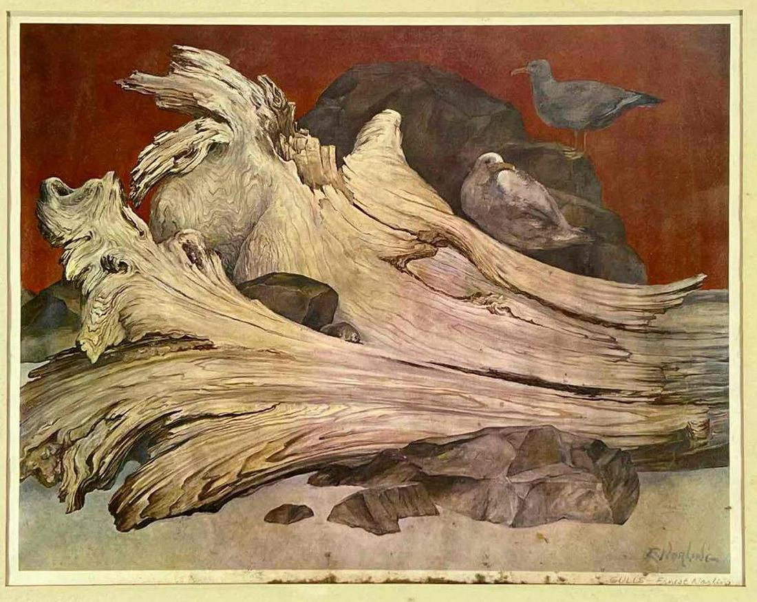 Ernest R. Norling, Gulls On Pacific Northwest Beach With Driftwood ...