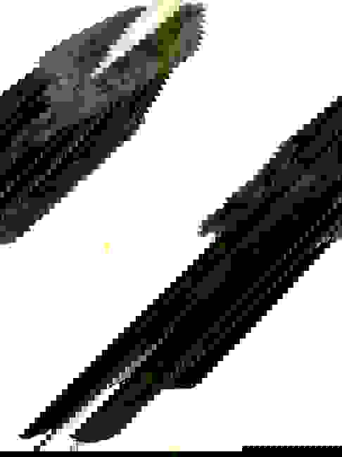 Vintage Silk Lined Velvet ; Fur Opera Coat Auction