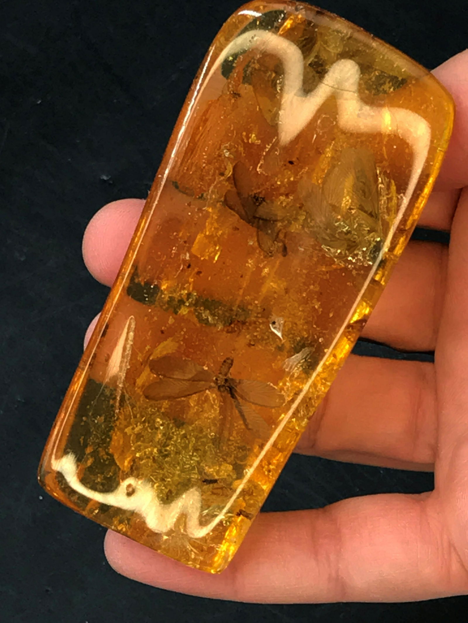 Amber, Fossil, Natural, Collectible, Specimen