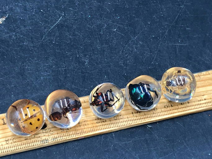 Marble, Insect, Toy, Collectible, Bug - Mar 31, 2021 | Easterly Auction ...