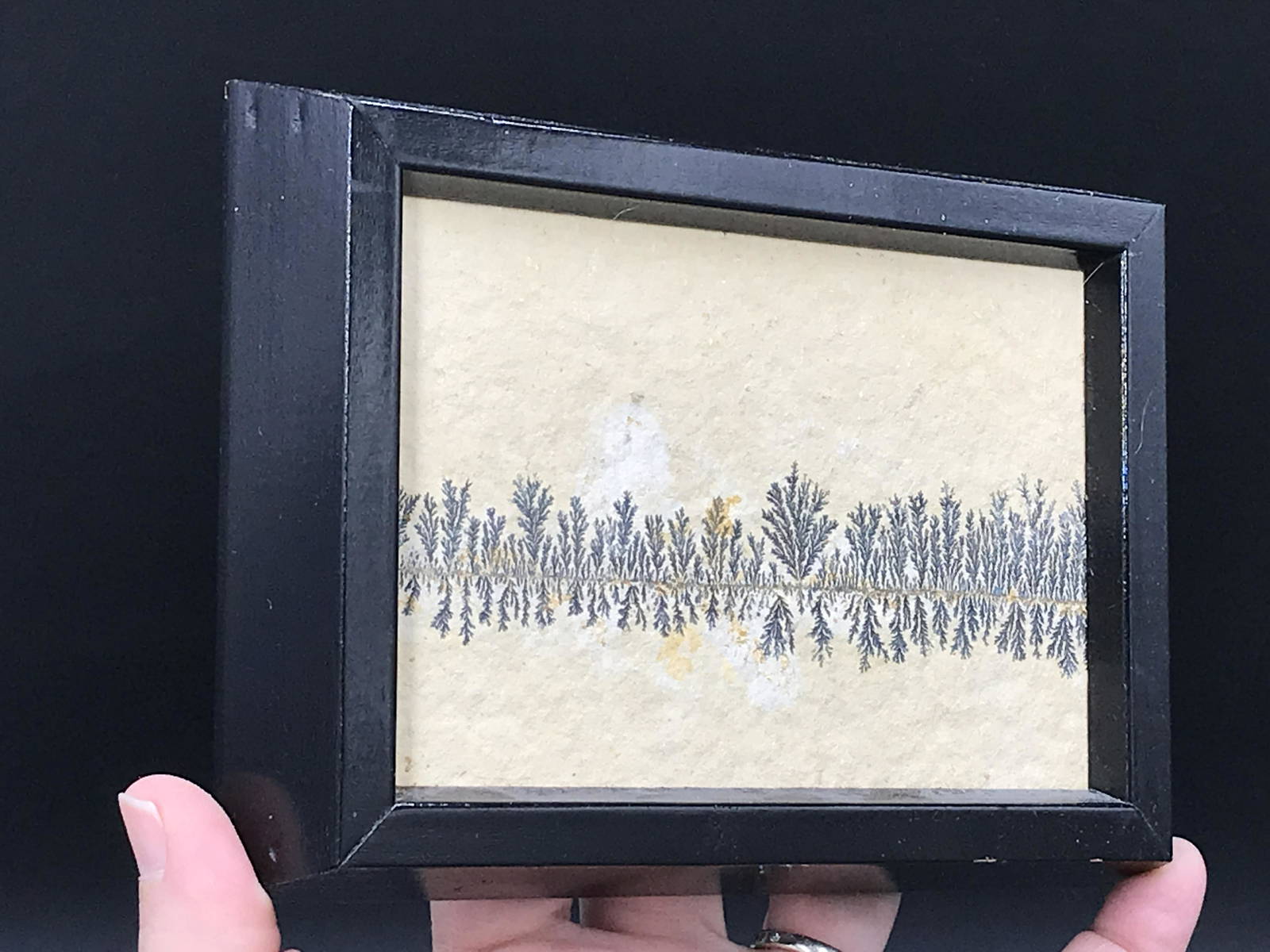 Collectible Rocks, Minerals & Fossils for Sale in Online Auctions - Page 6