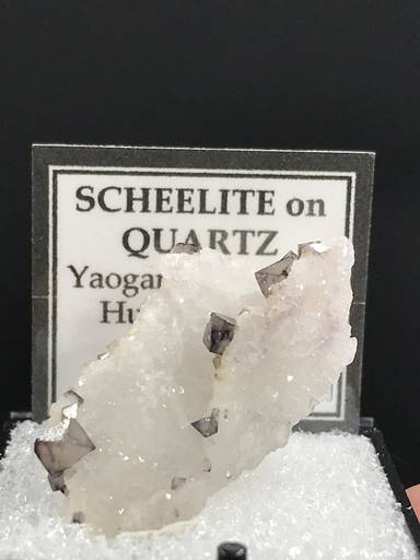 Scheelite On Quartz