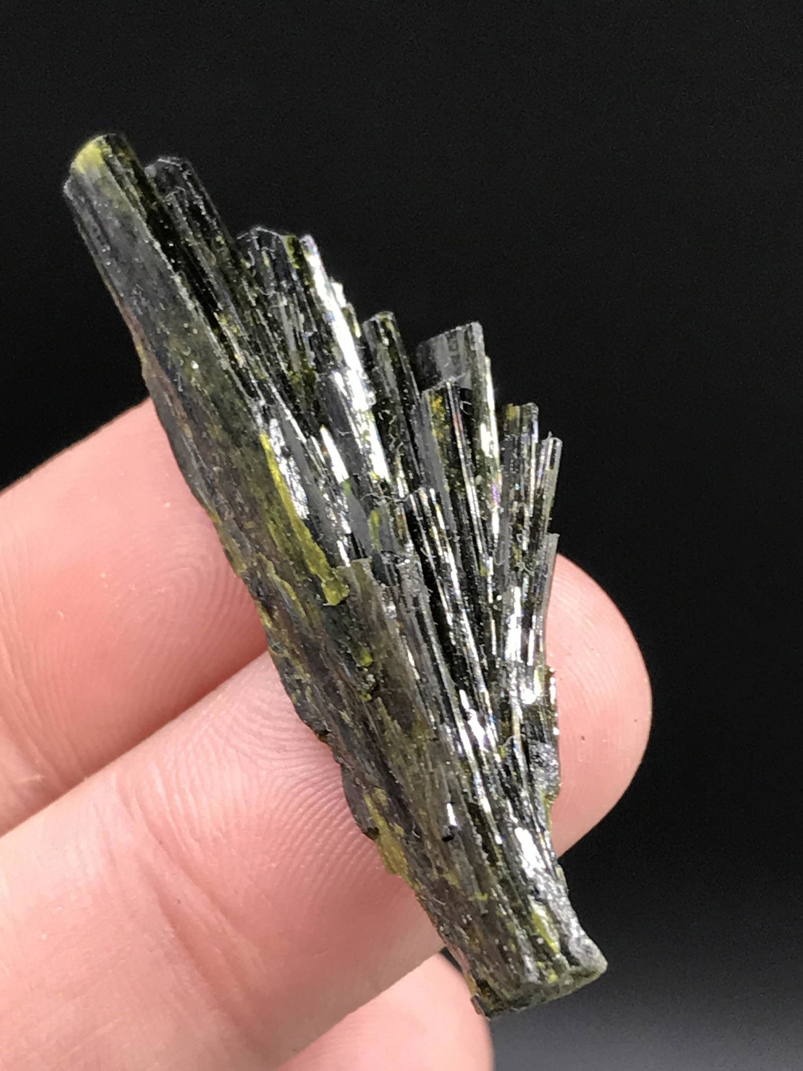 Collectible Rocks, Minerals & Fossils for Sale in Online Auctions - Page 20