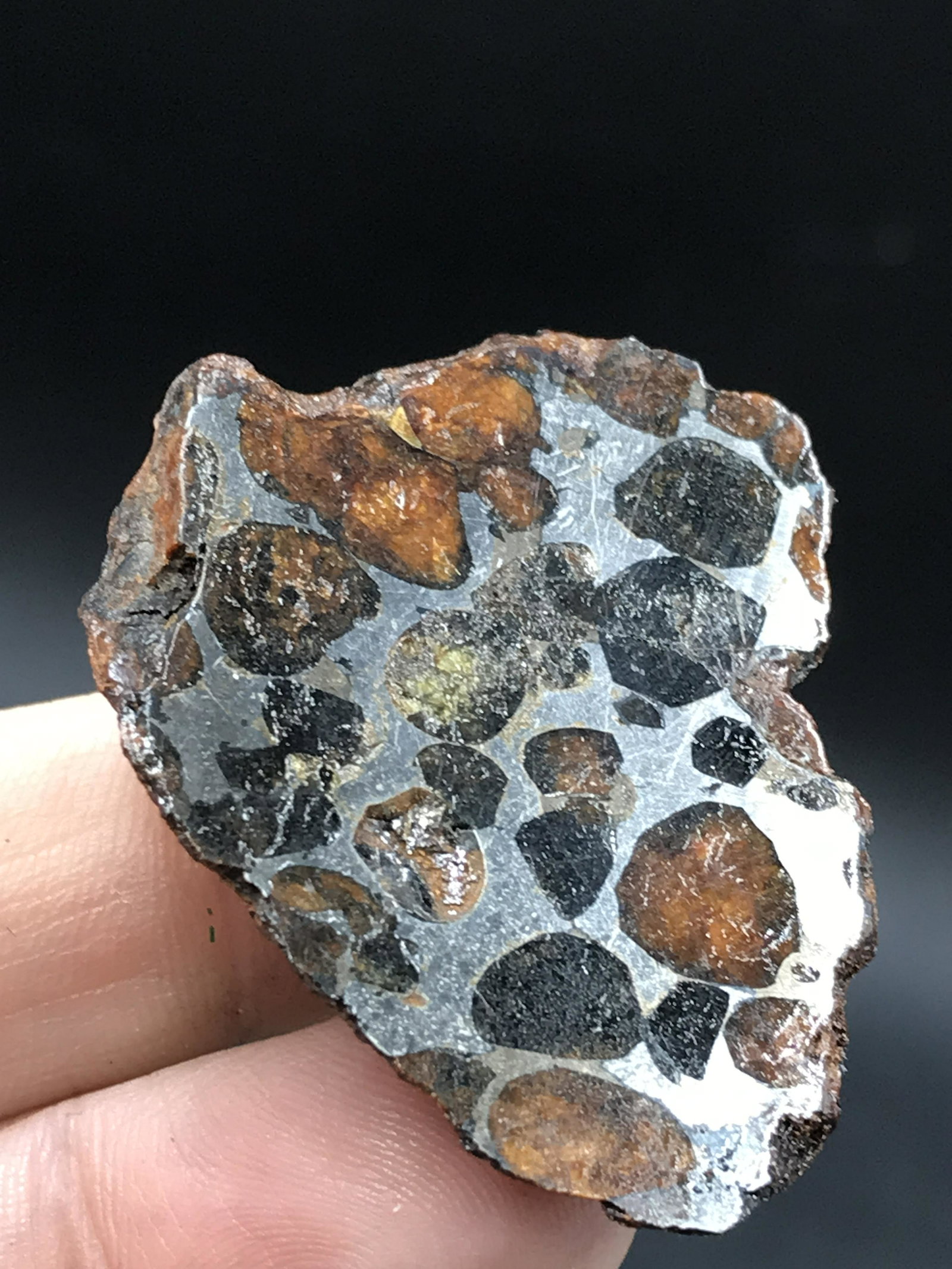 Meteorite: Iron Pallasite - Mar 29, 2023 | Easterly Auction Company in MO